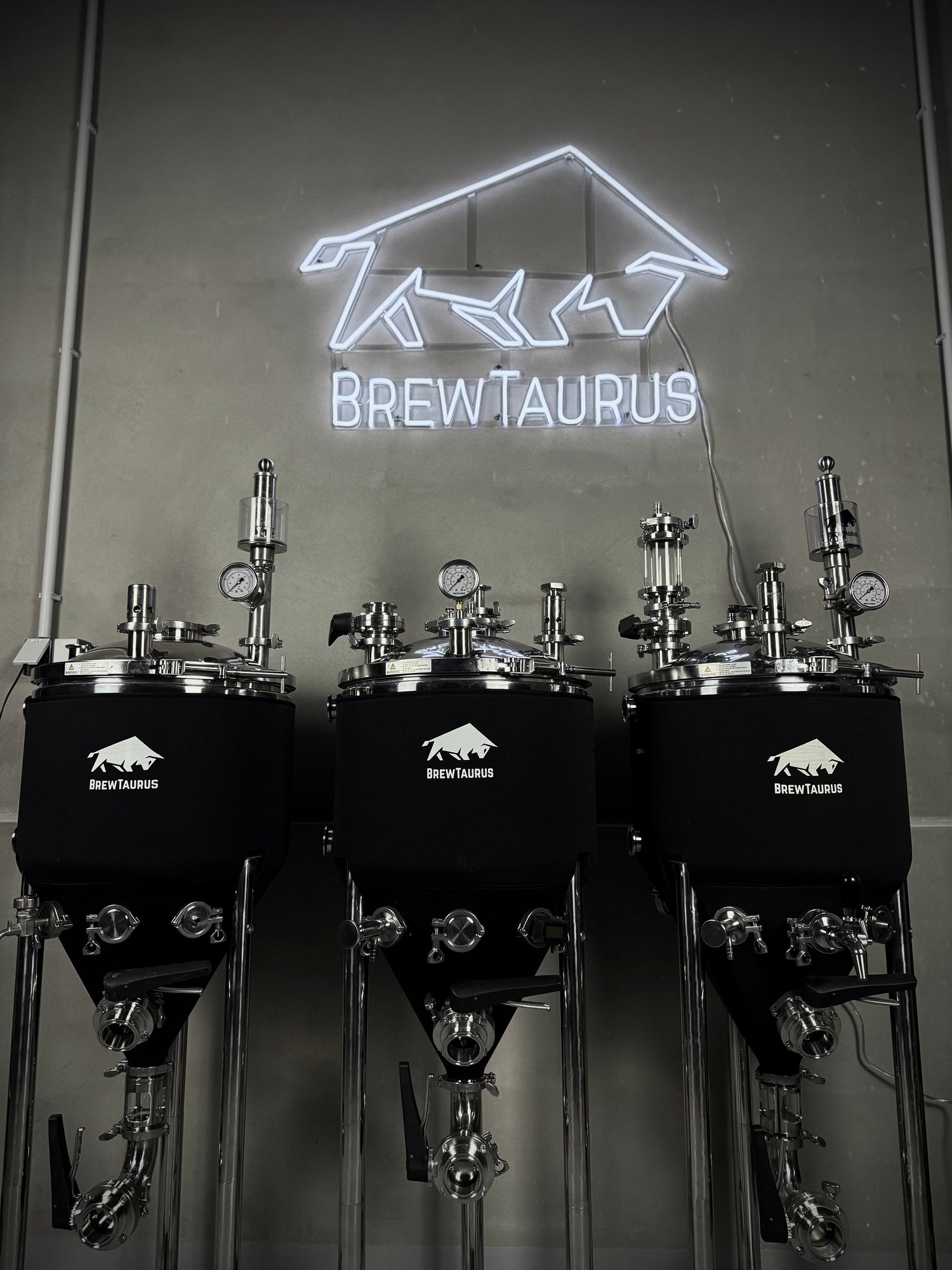 BrewTaurus.com | Home beer brewing technology – BrewTaurus.com ...